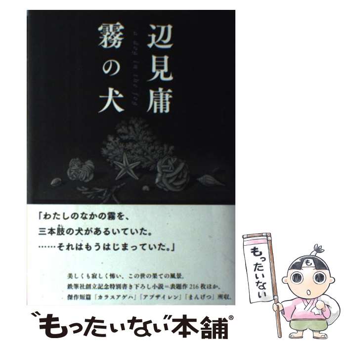 著者：辺見庸出版社：鉄筆サイズ：単行本ISBN-10：4907580029ISBN-13：9784907580025■こちらの商品もオススメです ● 福島の子どもたちからの手紙 / KIDS VOICE / 朝日新聞出版 [単行本] ● 抵...