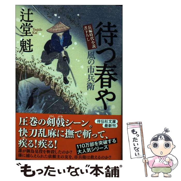 著者：辻堂 魁出版社：祥伝社サイズ：文庫ISBN-10：4396342543ISBN-13：9784396342548■こちらの商品もオススメです ● 輝く夜 / 百田 尚樹 / 講談社 [文庫] ● ほかならぬ人へ / 白石 一文 / 祥...