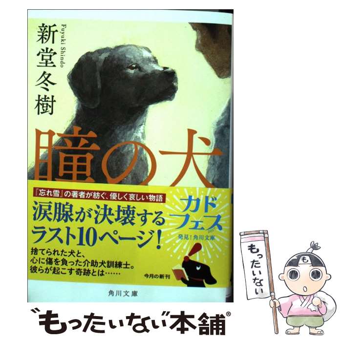 著者：新堂 冬樹出版社：KADOKAWAサイズ：文庫ISBN-10：4041058384ISBN-13：9784041058381■こちらの商品もオススメです ● 一分間だけ / 原田 マハ / 宝島社 [文庫] ● トラペジウム / KA...