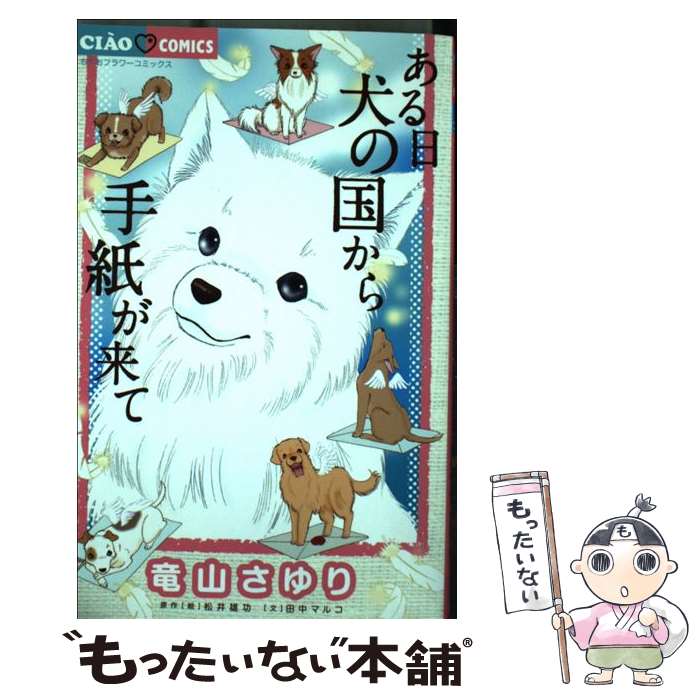 著者：竜山 さゆり, 松井 雄功, 田中 マルコ出版社：小学館サイズ：コミックISBN-10：4091345433ISBN-13：9784091345431■こちらの商品もオススメです ● ミステリと言う勿れ 1 / 田村 由美 / 小学館...