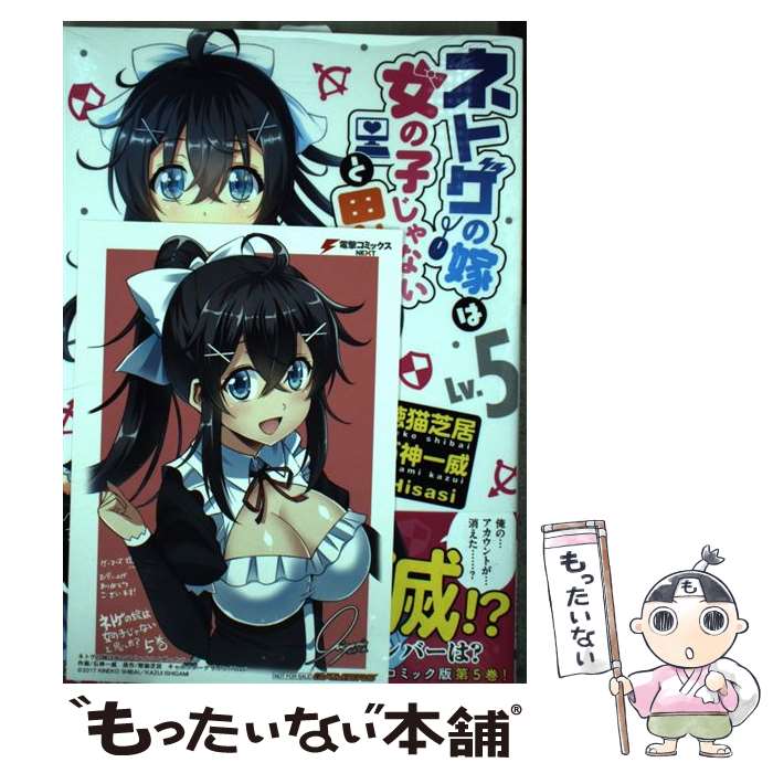 著者：石神 一威, Hisasi出版社：KADOKAWAサイズ：コミックISBN-10：4048927035ISBN-13：9784048927031■こちらの商品もオススメです ● ネトゲの嫁は女の子じゃないと思った?Lv.1 / 石神一...