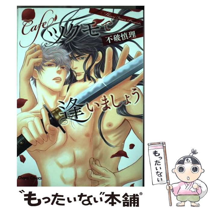 著者：不破慎理出版社：徳間書店サイズ：コミックISBN-10：419960703XISBN-13：9784199607035■こちらの商品もオススメです ● 酷くしないで小鳥遊彰編 / ねこ田 米蔵 / リブレ出版 [コミック] ● PRI...