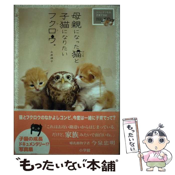 著者：永原 律子出版社：小学館サイズ：単行本ISBN-10：4093885893ISBN-13：9784093885898■通常24時間以内に出荷可能です。※繁忙期やセール等、ご注文数が多い日につきましては　発送まで48時間かかる場合があり...