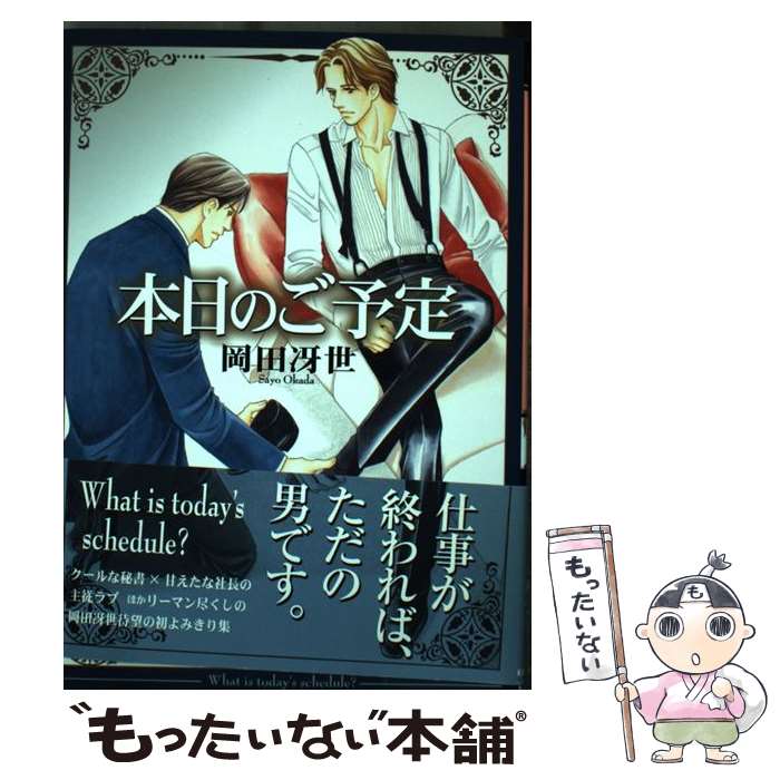 著者：岡田 冴世出版社：海王社サイズ：コミックISBN-10：4877244867ISBN-13：9784877244866■こちらの商品もオススメです ● メロメロ上等！ / 西原 ケイタ / 笠倉出版社 [コミック] ● 乱暴な純情 /...