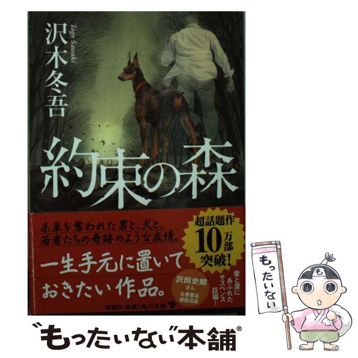 著者：沢木 冬吾出版社：KADOKAWAサイズ：文庫ISBN-10：4041017785ISBN-13：9784041017784■こちらの商品もオススメです ● 下町ロケット / 池井戸 潤 / 小学館 [文庫] ● 八日目の蝉 / 角田...