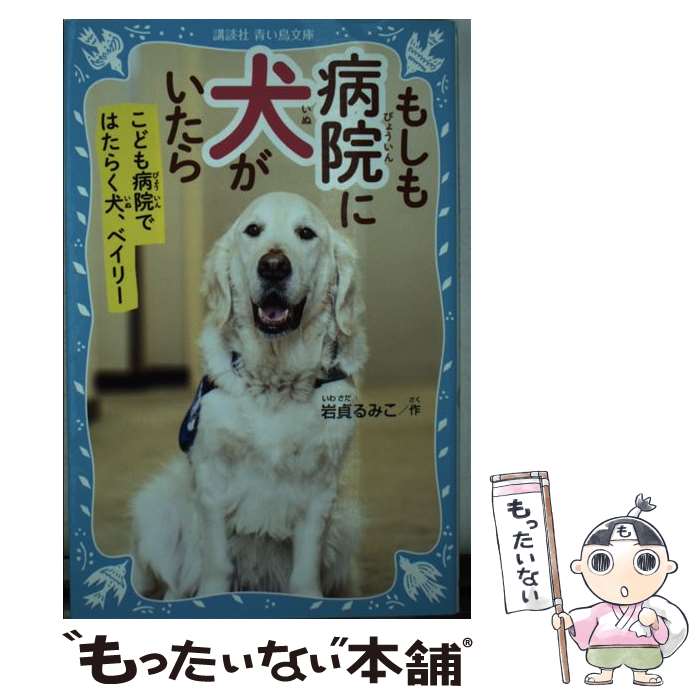 著者：岩貞 るみこ出版社：講談社サイズ：新書ISBN-10：4062856085ISBN-13：9784062856089■こちらの商品もオススメです ● 未来を変える目標SDGsアイデアブック / 紀伊國屋書店 [単行本] ● 家族依存症...