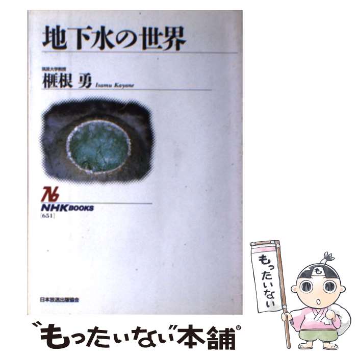 著者：榧根 勇出版社：NHK出版サイズ：単行本ISBN-10：4140016515ISBN-13：9784140016510■こちらの商品もオススメです ● 市場システムを超えて / 高橋 洋児 / 中央公論新社 [新書] ● 日本は世界一...