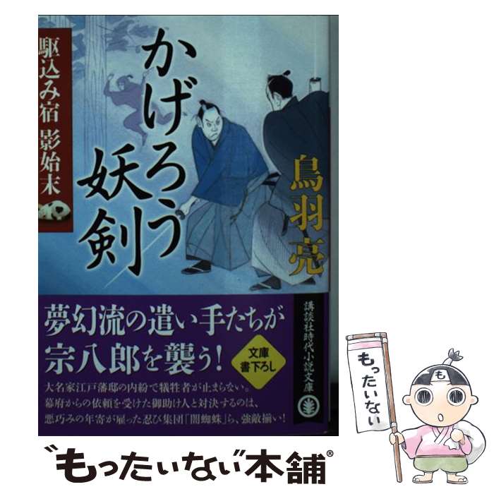 著者：鳥羽 亮出版社：講談社サイズ：文庫ISBN-10：4062935996ISBN-13：9784062935999■こちらの商品もオススメです ● 柳生十兵衛 / 峰 隆一郎 / 徳間書店 [文庫] ● 怨み河岸 / 鳥羽 亮 / 実業...
