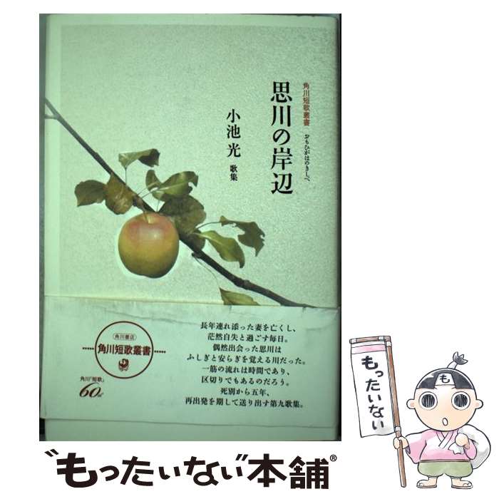 著者：小池 光出版社：KADOKAWAサイズ：単行本ISBN-10：4048763393ISBN-13：9784048763394■こちらの商品もオススメです ● イサム・ノグチとモエレ沼公園 / 学芸出版社 [単行本] ■通常24時間以内...