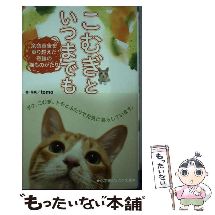 著者：tomo出版社：小学館サイズ：新書ISBN-10：4092308426ISBN-13：9784092308428■こちらの商品もオススメです ● わさびちゃんとひまわりの季節 / たざわ りいこ / 小学館 [単行本] ■通常24時間...