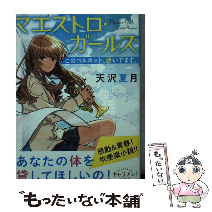 著者：天沢 夏月, けーしん出版社：小学館サイズ：文庫ISBN-10：409406690XISBN-13：9784094066906■こちらの商品もオススメです ● 白い薔薇の淵まで / 中山 可穂 / 集英社 [文庫] ■通常24時間以内...