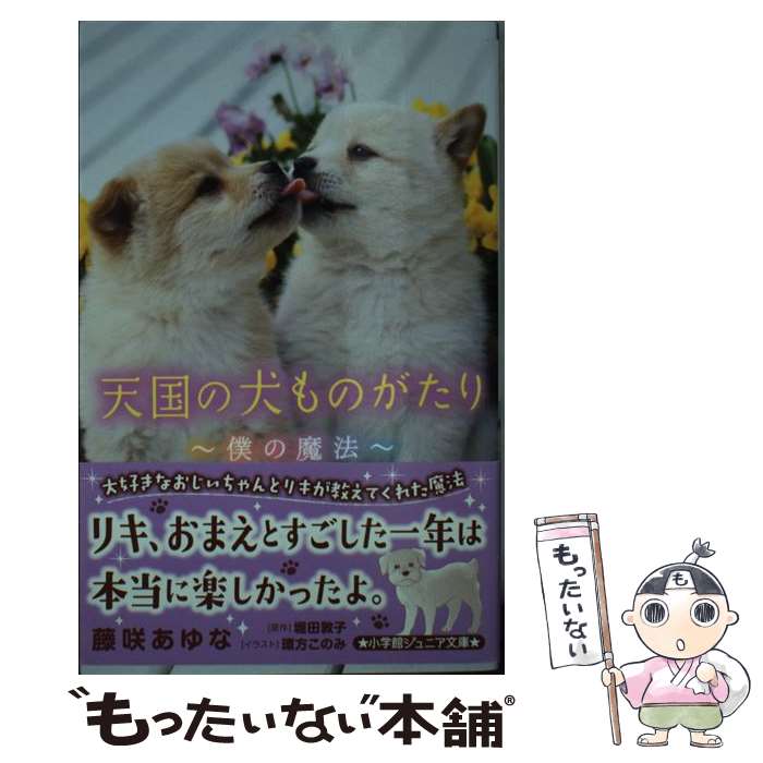 著者：藤咲 あゆな出版社：小学館サイズ：新書ISBN-10：4092312008ISBN-13：9784092312005■こちらの商品もオススメです ● 天国の犬ものがたり～笑顔をあげに～ / 小学館 [新書] ● 天国の犬ものがたり～ず...