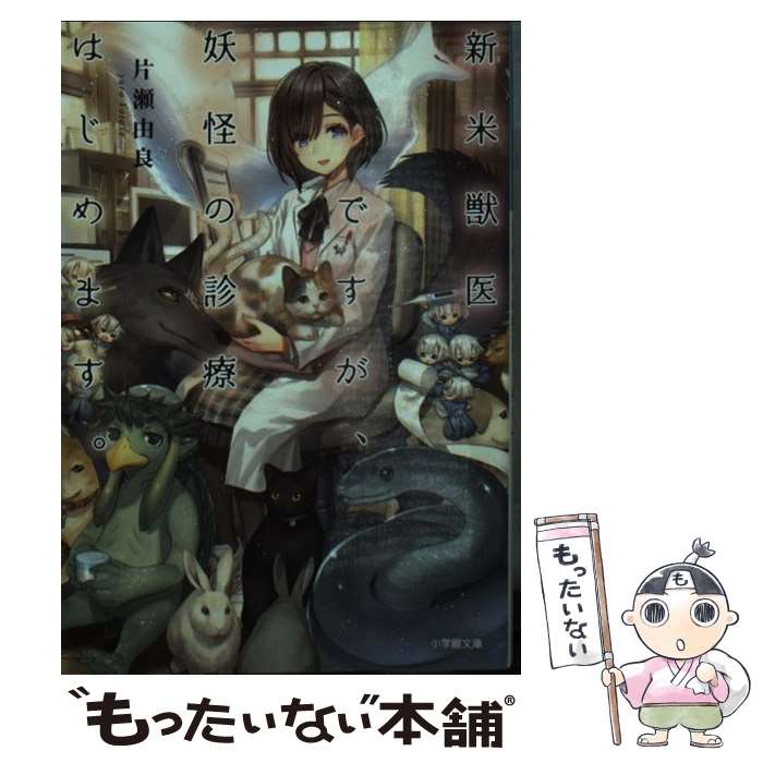著者：片瀬 由良出版社：小学館サイズ：文庫ISBN-10：4094067205ISBN-13：9784094067200■こちらの商品もオススメです ● 秘密（2） / 清水 玲子 / 白泉社 [コミック] ● 秘密（3） / 清水 玲子 ...