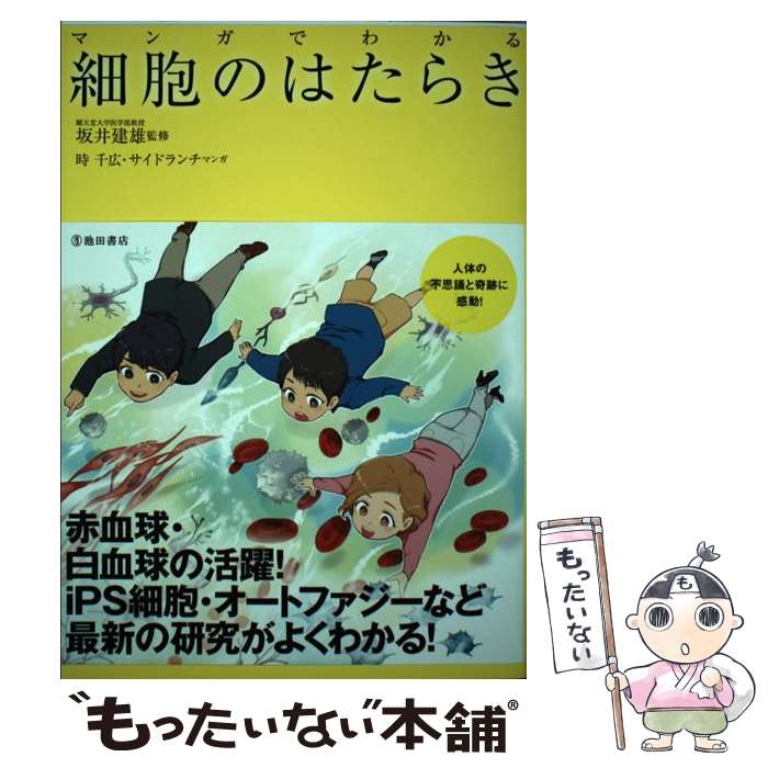 著者：坂井 建雄, 時 千広, サイドランチ出版社：池田書店サイズ：単行本ISBN-10：426215565XISBN-13：9784262155654■こちらの商品もオススメです ● マンガでわかる！　誰とでも15分以上　会話がとぎれない...