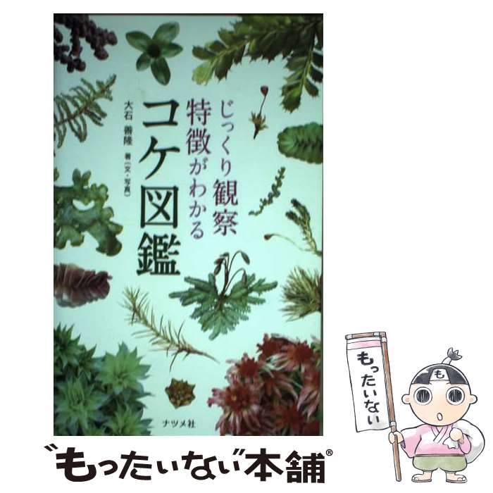 著者：大石善隆出版社：ナツメ社サイズ：単行本（ソフトカバー）ISBN-10：4816366415ISBN-13：9784816366413■こちらの商品もオススメです ● 百寺巡礼　第十巻　四国・九州 / 五木 寛之 / 講談社 [単行本]...