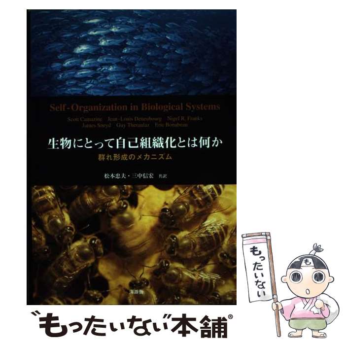 著者：Scott Camazine, 松本 忠夫, 三中 信宏出版社：海游舎サイズ：単行本ISBN-10：4905930480ISBN-13：9784905930488■通常24時間以内に出荷可能です。※繁忙期やセール等、ご注文数が多い日に...