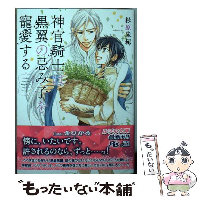著者：杉原朱紀, 金ひかる出版社：幻冬舎コミックスサイズ：文庫ISBN-10：4344851358ISBN-13：9784344851351■こちらの商品もオススメです ● 宵闇お宿の鬼の主のお嫁様 / 杉原朱紀, 鈴倉 温 / 幻冬舎コミ...