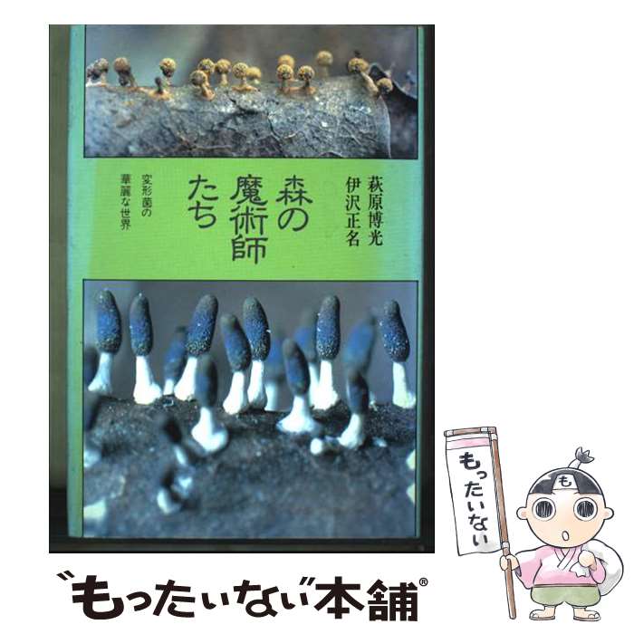 著者：萩原博光, 伊沢正名出版社：朝日新聞出版サイズ：単行本ISBN-10：4022551399ISBN-13：9784022551399■通常24時間以内に出荷可能です。※繁忙期やセール等、ご注文数が多い日につきましては　発送まで48時間...