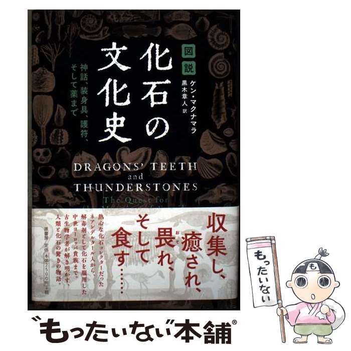 著者：ケン・マクナマラ, 黒木 章人出版社：原書房サイズ：単行本ISBN-10：4562058854ISBN-13：9784562058853■通常24時間以内に出荷可能です。※繁忙期やセール等、ご注文数が多い日につきましては　発送まで48...