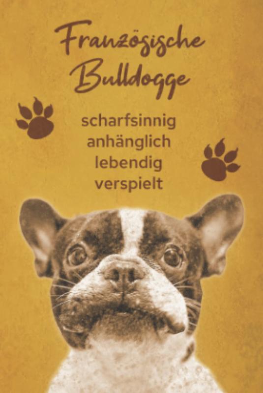 Franzoesische Bulldogge - scharfsinnig, anhaenglich, lebendig, verspielt - Kalender 2023: Schoener Taschenkalender mit H...