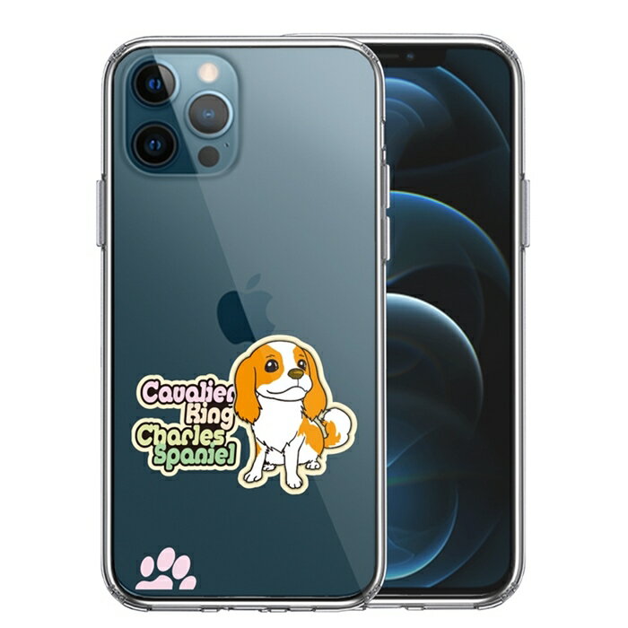 ★ケース本体：素材・成分：TPU、ソフト素材（側面）とポリカーボネイト、ハード素材（背面）を使用した最新のハイブリッドケース★ケースを装着したままで充電や操作が可能（apple純正のライトニングケーブルのみ確認済み、純正以外のケーブルについ...