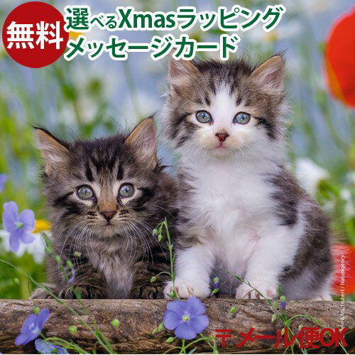 ※ギフト対応アイコンについて ラベンスバーガー社　いたずら子猫（49ピース×3） です。 49ピースが3セットになってるパズルです。 かわいい子猫たちの様子が描かれたパズルです。 いたずら好きな子猫たちの様子を見てみましょう。 約3cmのピ...