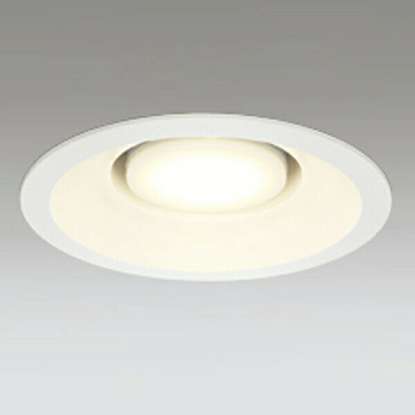 ●LED電球フラット形（GX53-1） ●樹脂 ●0.4kg ●光源寿命40000時間 ●連続調光100-5％・調色 ●取付可能天井厚5-25mm ●調光器不可 ●必ず壁スイッチを設置してください ●肌を美しく魅せる高演色ダウンライト。 省...