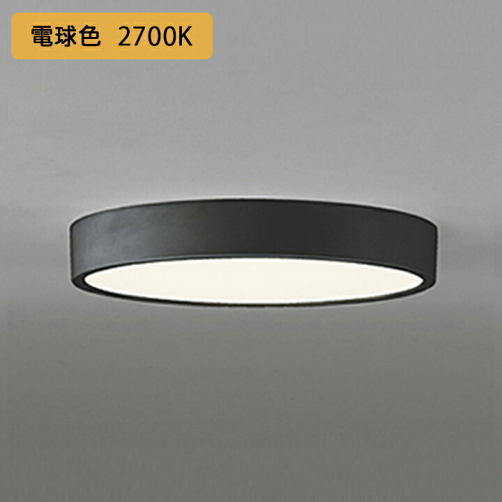 ●LED ●アルミダイカスト ●樹脂(乳白) ●巾直径300高431.9kg ●光源寿命40000時間 ●連続調光100-1%・位相制御 ●ブラック ●玄関ホールに最適。ワークスペースなどにもおすすめ。 ◆商品型番 ・オーデリック ・OL2...