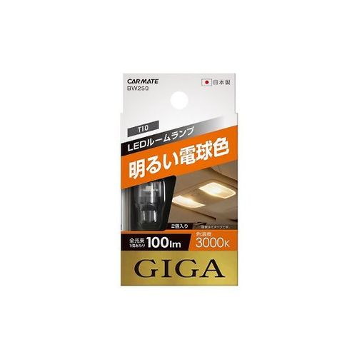LEDルームR100T 3000K ホワイト　BW250※こちらは【取り寄せ商品】です。必ず商品名等に「取り寄せ商品」と表記の商品についてをご確認ください。LEDルームR100T 3000K ホワイト BW250 。LEDルームR100T ...