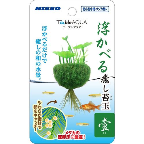 テーブルアクア 浮かべる癒し苔玉 壹（イチ） NAP-573※こちらは【取り寄せ商品】です。必ず商品名等に「取り寄せ商品」と表記の商品についてをご確認ください。テーブルアクア 浮かべる癒し苔玉 壹（イチ） NAP-573。検索キーワード:6...