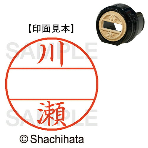 文具 ＞ 事務用品 ＞ スタンプ・印章用品。※こちらは【取り寄せ商品】です。必ず商品名等に「取り寄せ商品」と表記の商品についてをご確認ください。DNEX12号マスター部本体重量：2g。サイズ：本体 約 縦32×横25×奥32mm。検索キーワ...