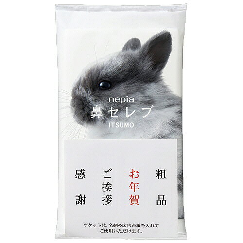 貰ってうれしい「ごあいさつ」ティッシュ。ハナセレブITSUMO PLUS 10コ。衣料・生活用品 ＞ 日用品 ＞ ティッシュペーパー ＞ ポケットティッシュ。●贈答用ティッシュの10個×10パック。●名刺やアドカードを挿し込めるポケット付。...