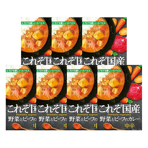これぞ国産 野菜とビーフのカレー※こちらは【取り寄せ商品】です。必ず商品名等に「取り寄せ商品」と表記の商品についてをご確認ください。国産の牛肉、数種類の国産野菜を使ったビーフカレーです。スパイスをほどよく効かせた、香り豊かなカレーです。