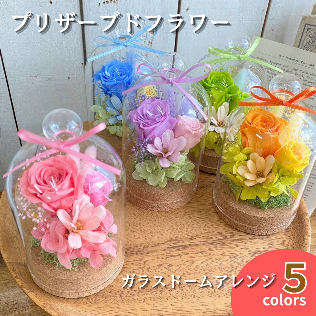 プリザーブドフラワー ガラスドームアレンジ・彩花 発色の美しいプリザのバラをガラスドームにアレンジ 小さくて置き場所を選ばないプレゼント ガラスドームはホコリを防ぎ 直射日光からお花を守ります 好きな色が選べる5色 かわいらしいピンク、 大...