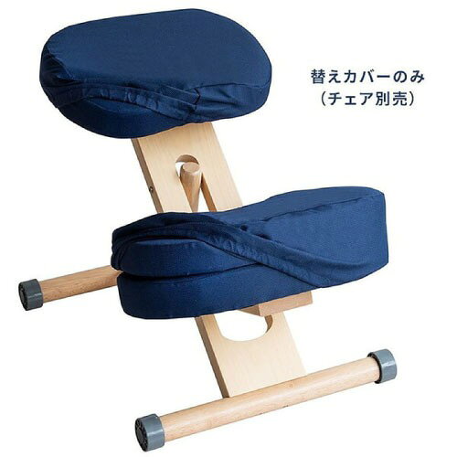 商品説明集中力が高まるプロポーションチェアの替えカバー。 座面カバーと膝カバーのセット手洗い洗濯可能でいつでも清潔です。 ゴムカバーでお子様でもラクラク着脱できます。主材質ポリエステル