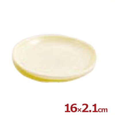 サイズ：Φ160mm　高さ21mm材質：ポリプロピレン　