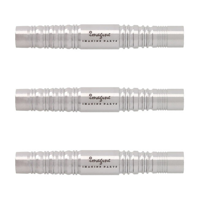 Imagine Darts PROTECTORシリーズ Phoenix 2BA　※ご覧頂いているディスプレイの設定等により、実物と色合いが異なる場合がございます。※この画像はDarts HiVeが作成しており、文章・写真などの複製、無断転載...