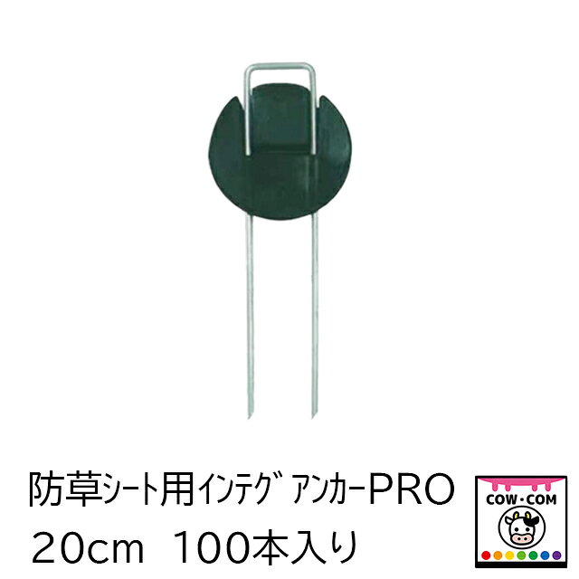 【商品説明】 ■防草シート用のピンとワッシャーのセットです 【サイズ】 ■長さ20cm　1箱100本入り 【関連】 カウコン/酪農用品/畜産用品/牛/乳牛/肉牛/家畜/畜舎/防草シート/防草マット/雑草防止/雑草/花壇/菜園/畑/空地/サシ...