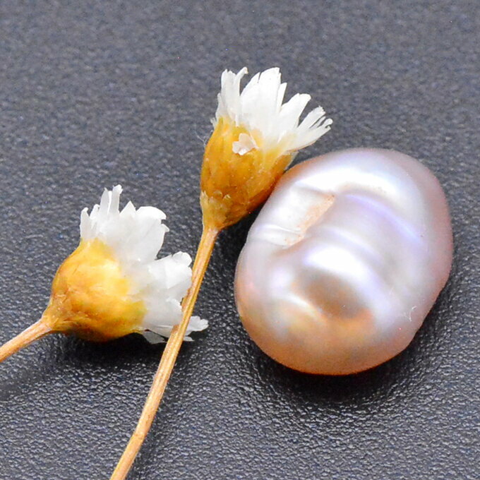 仕　様 サイズ写真参考材　質天然素材 重さ約0.66g/袋 入　数 1ヶ 注意事項 商品の一部には、生産過程上において、歪み・メッキムラ・色ムラ・サビ・多少の柄ずれなどある場合があります。ご返品とご交換は出来かねますので、予めご了承の上ご購...