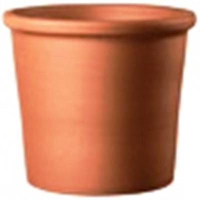 ◆送料が別途実費かかるため【送料無料及び税込880円ではありません】送料はご注文後に追加致します。 ・配送先が法人宛と個人宛で送料が変わります。 ・会社や店舗の場合は会社名や店舗名を必ず入れてください。 ・個人宛の送料の方が高くなります。 ...