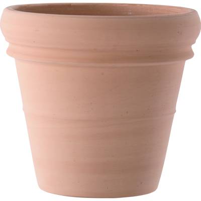 ◆送料が別途実費かかるため【送料無料及び税込880円ではありません】送料はご注文後に追加致します。 ・配送先が法人宛と個人宛で送料が変わります。 ・会社や店舗の場合は会社名や店舗名を必ず入れてください。 ・個人宛の送料の方が高くなります。 ...