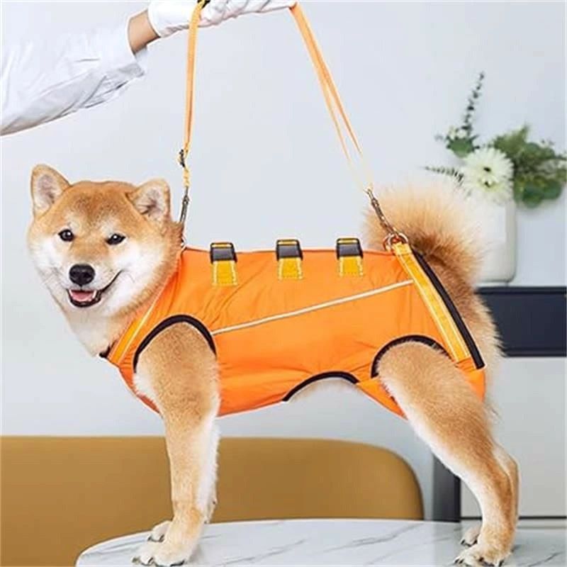 【犬の介護用ハーネス】犬 歩行補助 ハーネスは、関節損傷、関節炎、リウマチなどでバランスを失った犬を日常生活でサポートし、安定させることで、老犬や障害のある犬の若返りに役立ちます。 当社の犬用リフトハーネスは犬の全身をサポートでき、使い方は...