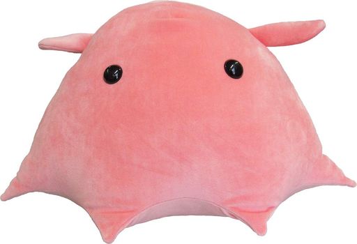 本体サイズ:約78cm