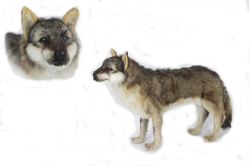 主な製造国:フィリピン 対象年齢:6才以上