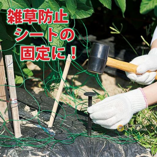 ガーデニング 雑草防止シートの固定に。 打ち込みやすく、上部フラットタイプでつまずきも軽減。 酸化防止剤配合で劣化を防ぐ。 先端トンガリでしっかり刺さる。