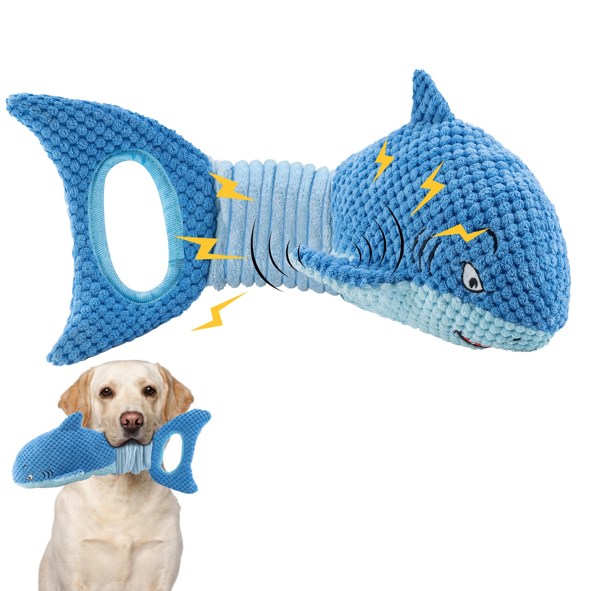 ブランド: LEGEND SANDY 型番: SY01 カラー: ブルーシャーク (Blue Shark)