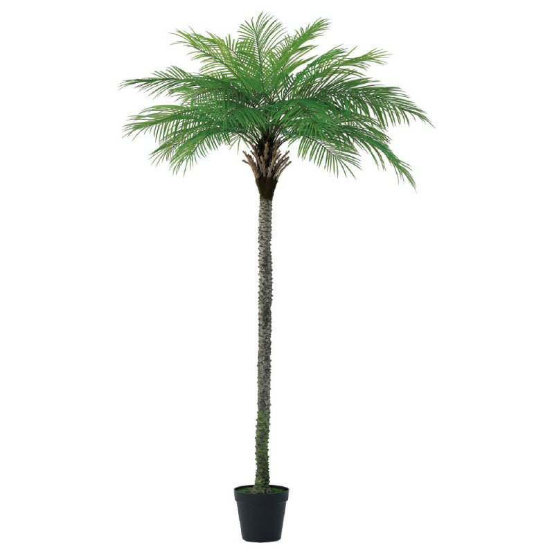 ◆サイズ◆約幅160×高さ240cm鉢サイズ：直径28×高さ25cm人工観葉植物パーム（ポット付き）◆素　材◆プラスチックシート・ポリエチレン・プラスチック組立式（幹は2分割になります）グリーンポット（重量安定鉢）は工場の作製過程において形...