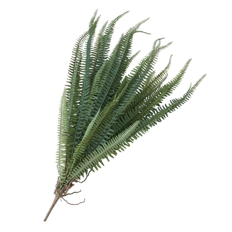 サイズ長さ70cm人工観葉植物ファーン ブッシュ　【 1 個入り】材質：ポリエチレン水やり不要の人工観葉植物です。スタイリッシュに空間をデザイン、そのまま吊るして飾られても、またお好みのポットで他の植物と合わせても素敵です。ご自由にアレンジ...