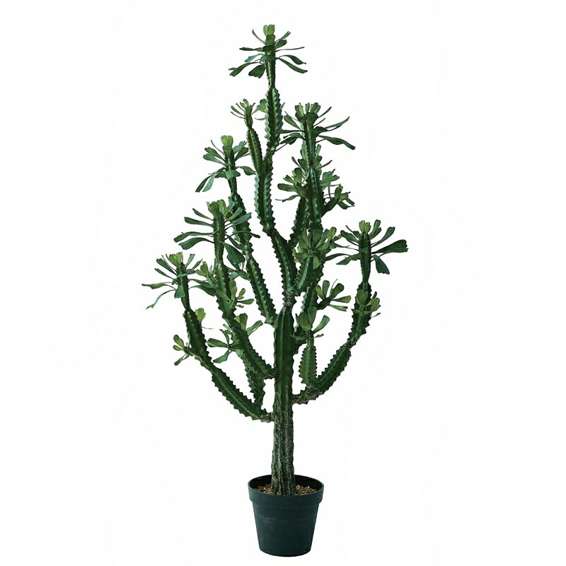 サイズ高さ147cmポットサイズ：約高さ19×直径22cm人工観葉植物ユーフォルビア ポット 147　【 1 個入り】材質：発砲ポリエチレンプラスチックポット水やり不要の人工観葉植物です。スタイリッシュに空間をデザイン、お好みのポットや鉢に...