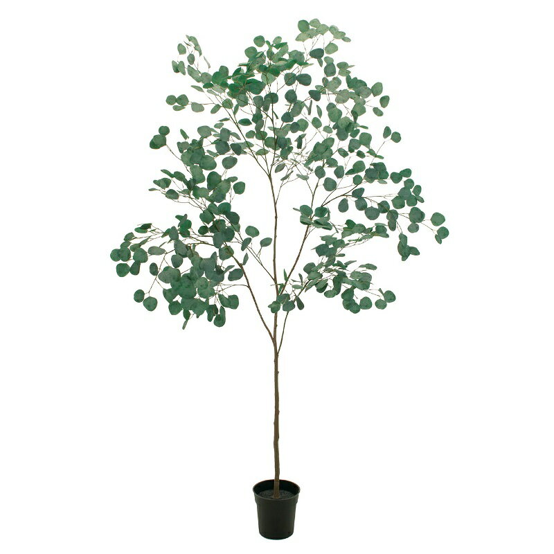 ◆サイズ◆約幅100×高さ180cm鉢サイズ：直径19×高さ18.5cm人工観葉植物ユーカリーポット◆材　質◆再生PET由来ポリエステル重　量：約3kg◆鉢材料◆再生ポリプロピレン配合用途により、お手持ちか別売りのポットカバーをご使用くださ...